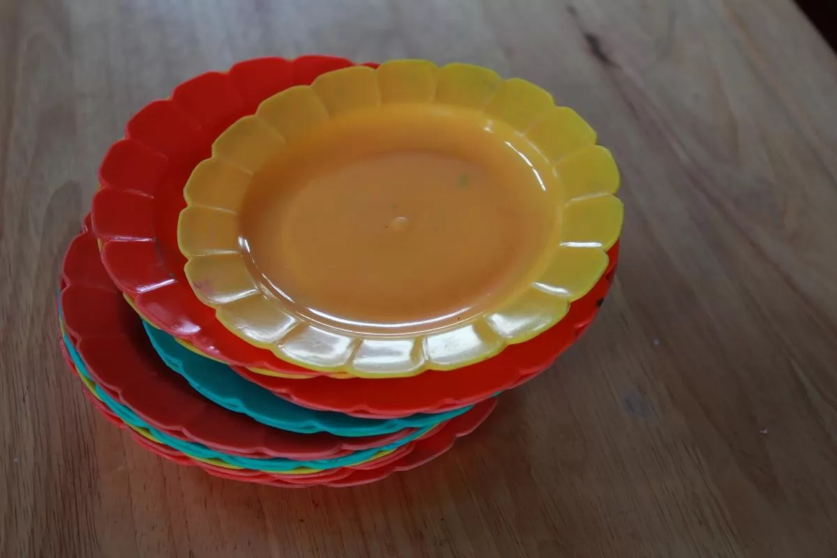 Plastic Fruit Dish Making Machine - LOG Machine